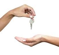 The Power of Autonomy and Trust in Leadership – A Workplace Playbook